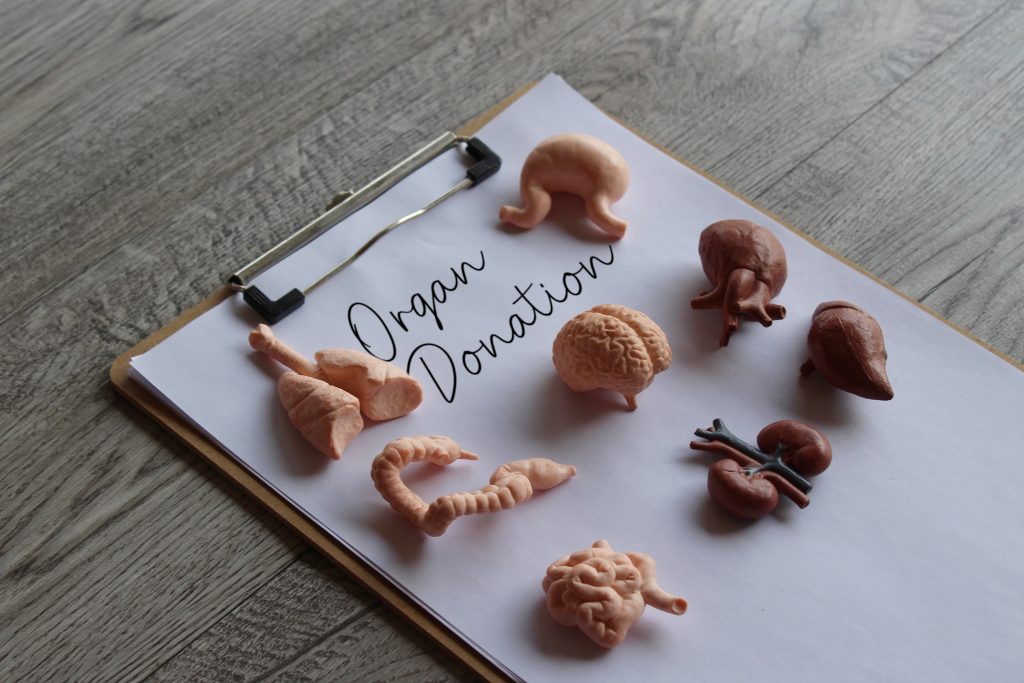 Organ Removal - Fidel Clinic